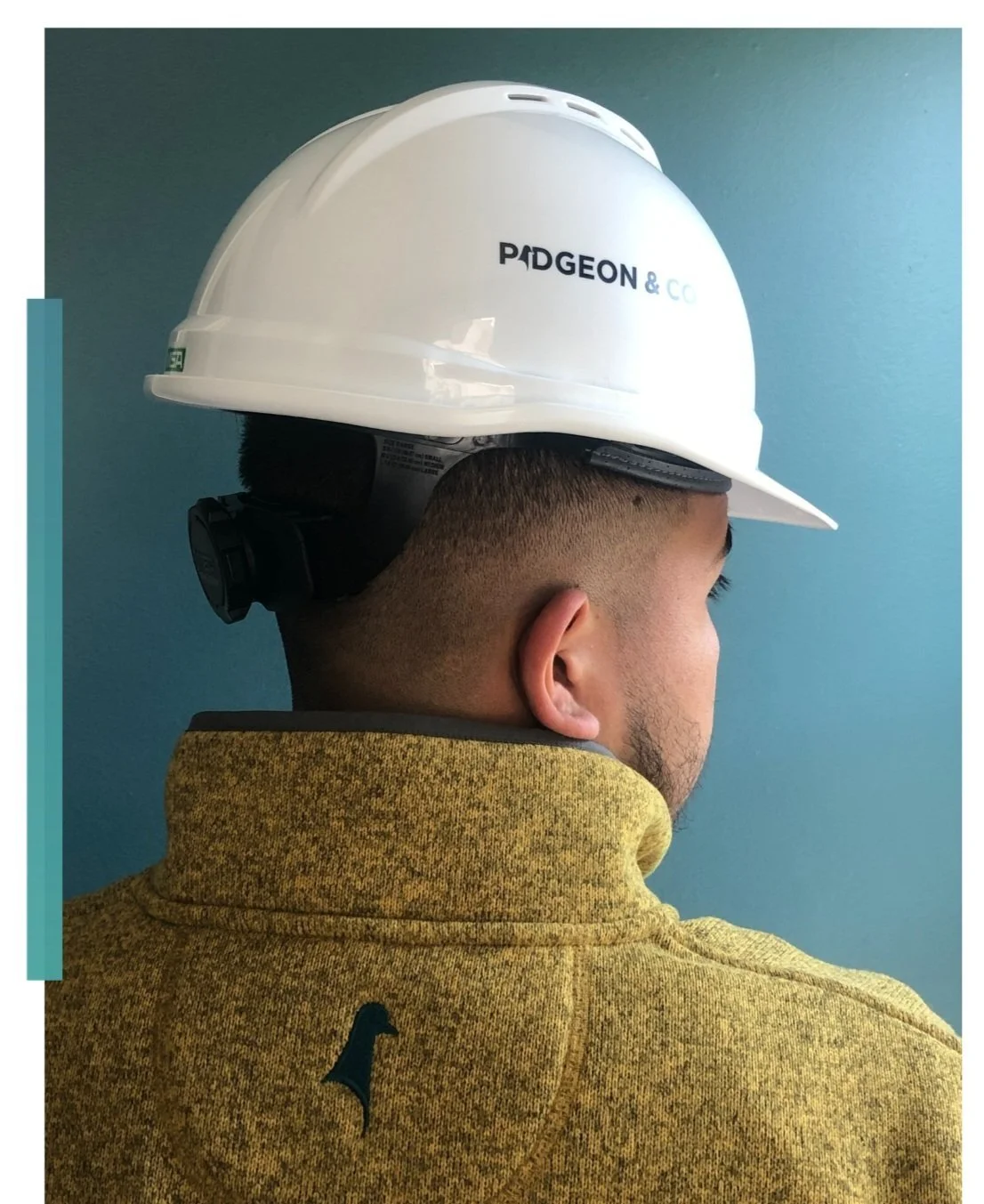 Vision — Pidgeon & Co