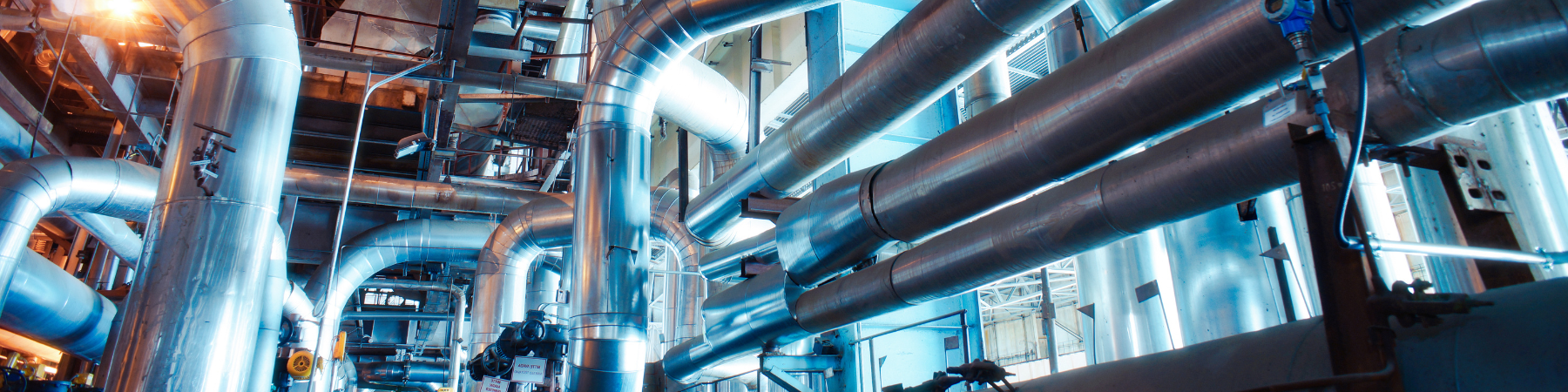 Zero-Cost Steam Trap Repairs — steam management, inc.