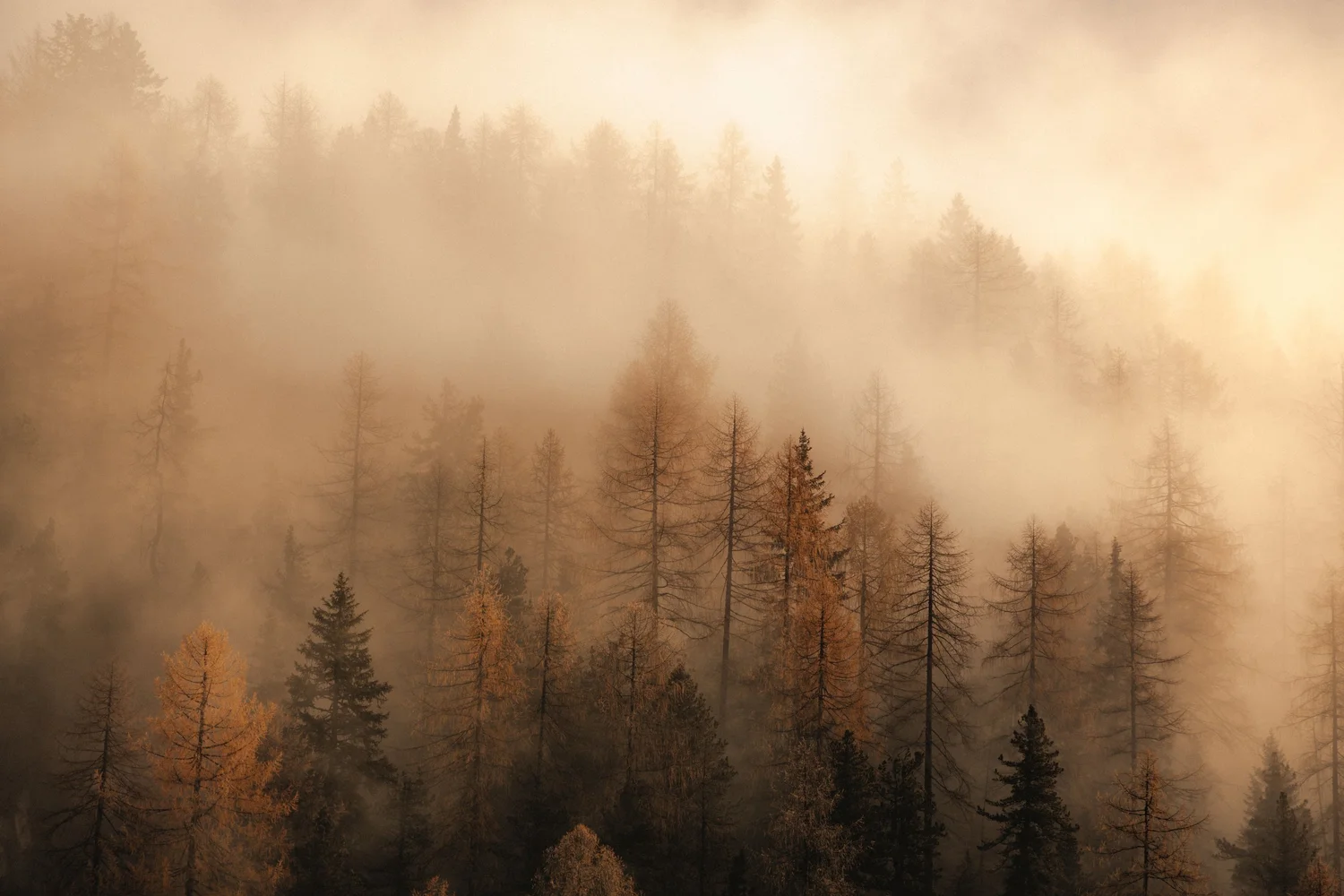 Dolomites Autumn — My Perspective