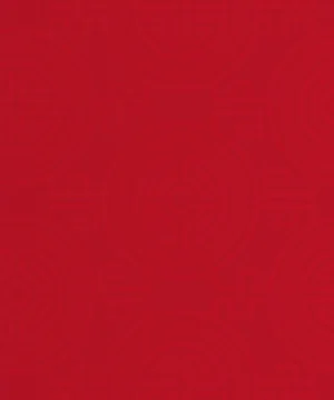 Menu alt — Wongs Golden Dragon