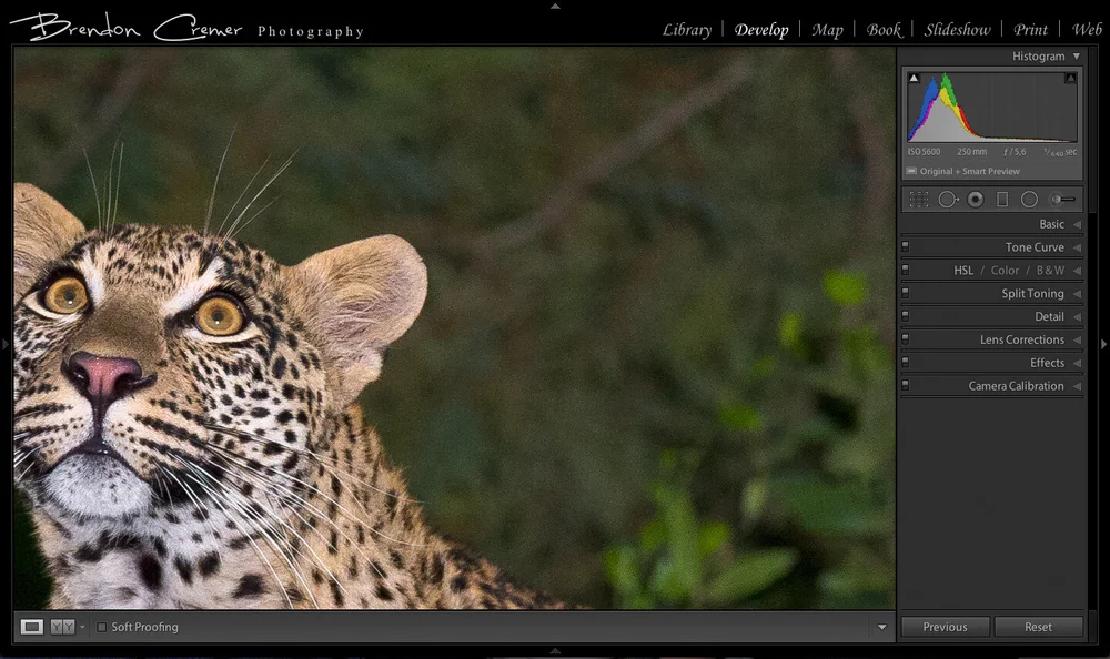 Noise in Images and How to Get Rid of It!! — Brendon Cremer Photography