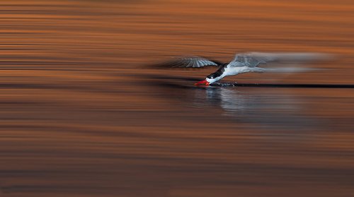 Second / Rear Curtain Sync in Flash Photography — Brendon Cremer ...