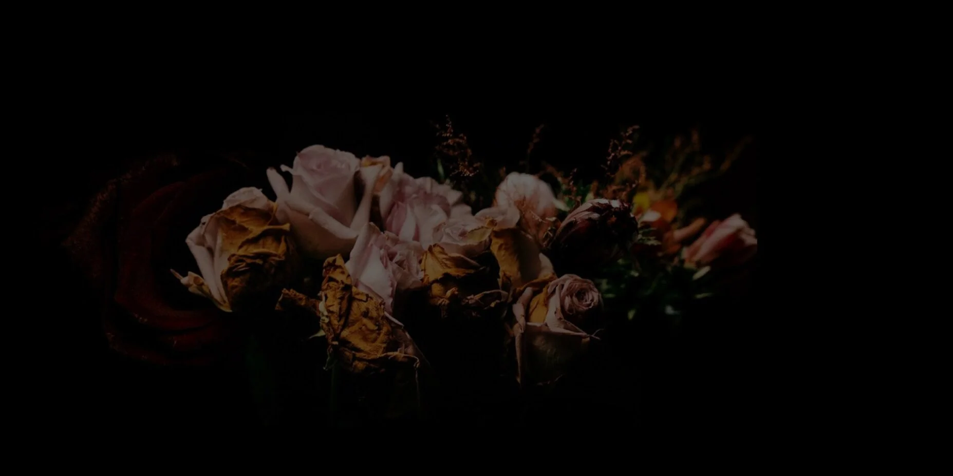 Meatmaiden | Steakhouse Melbourne CBD