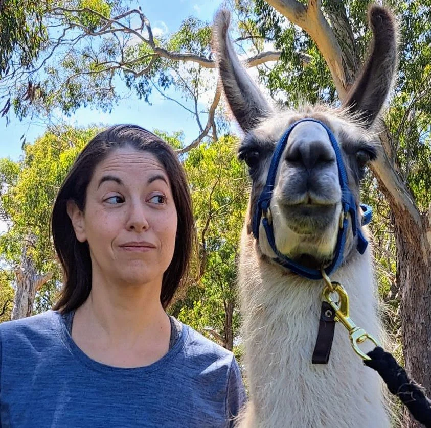 Clients — Chelsea Hensley