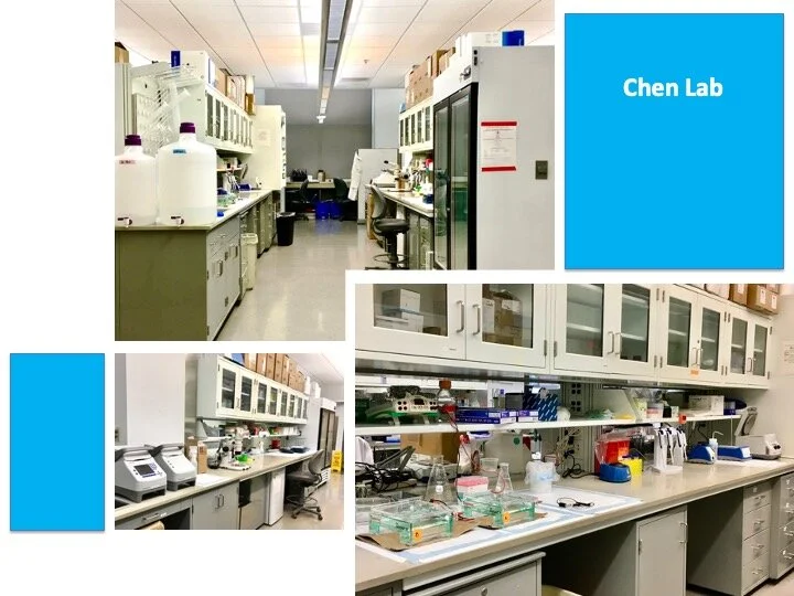 Lab News — Chen Lab @ University of Kentucky