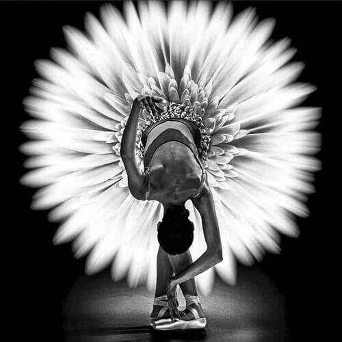 "World’s Best 55 Fine Art Ballet Photos" — Glen Allison