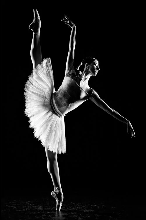 "World’s Best 55 Fine Art Ballet Photos" — Glen Allison