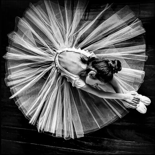 "World’s Best 55 Fine Art Ballet Photos" — Glen Allison