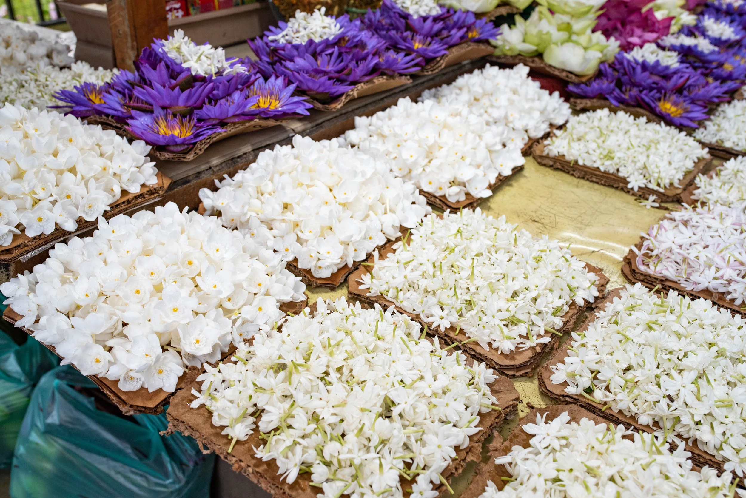 Wild Bee Florals — Cultivated Grant Floral Explorations Part 1: Jasmine ...