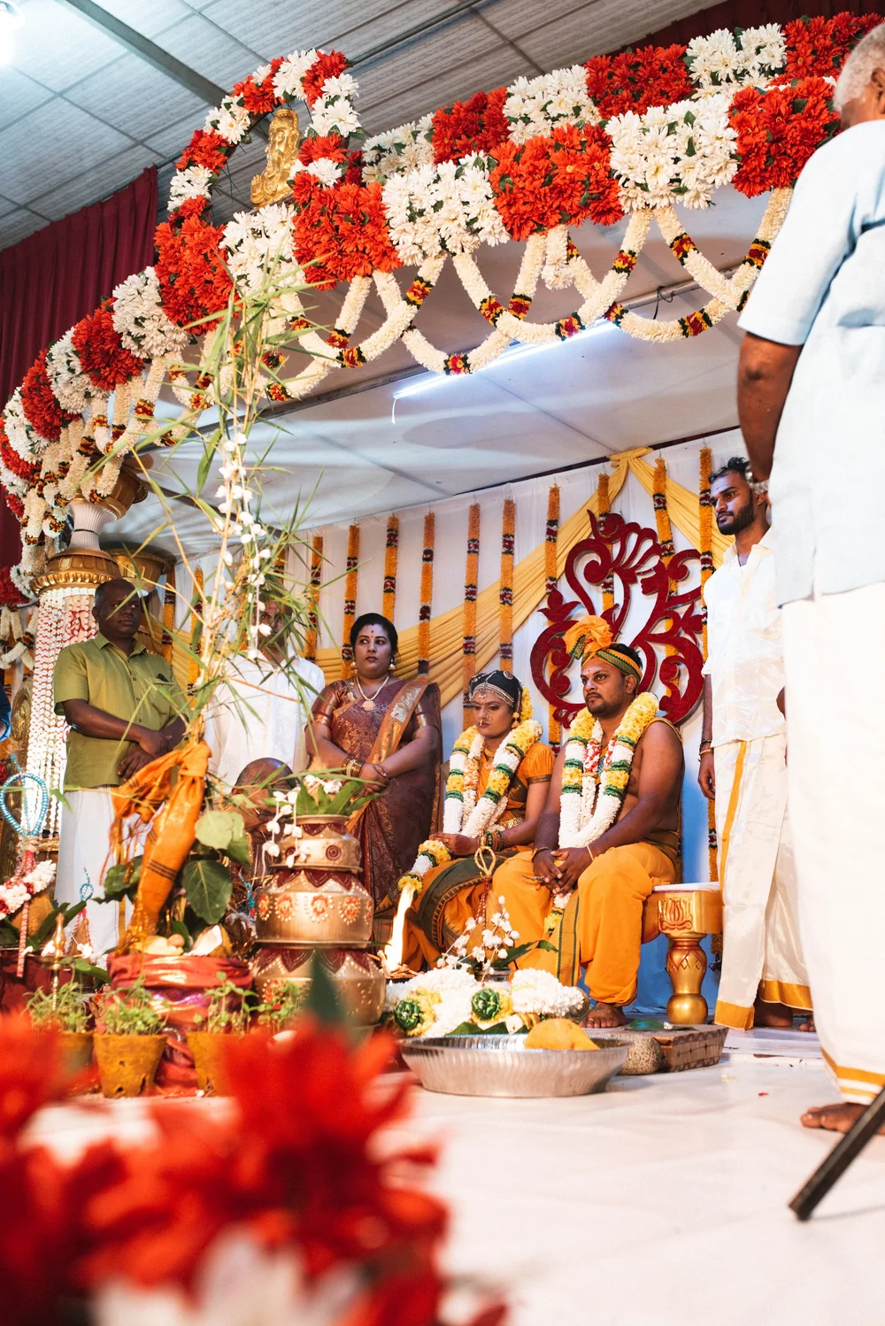 Wild Bee Florals — Cultivated Grant Floral Explorations Part 1: Jasmine ...