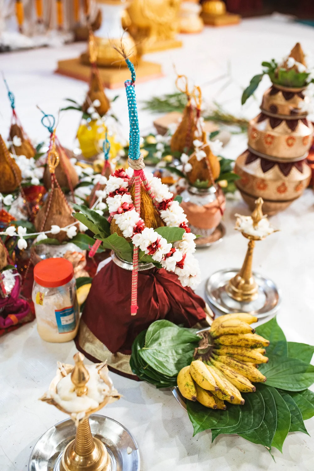 Wild Bee Florals — Cultivated Grant Floral Explorations Part 1: Jasmine ...