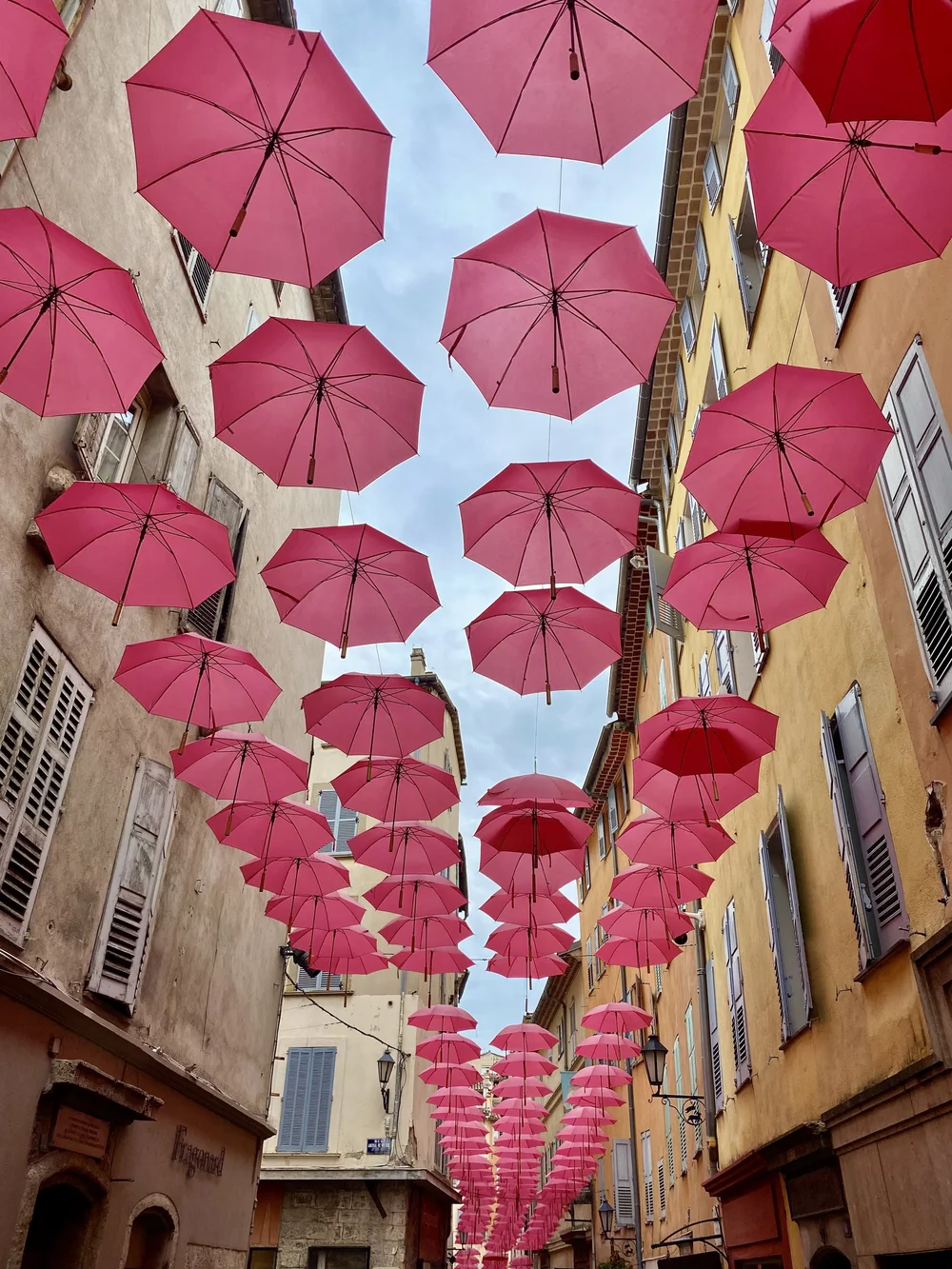 unexpected encounters — Musée Musings