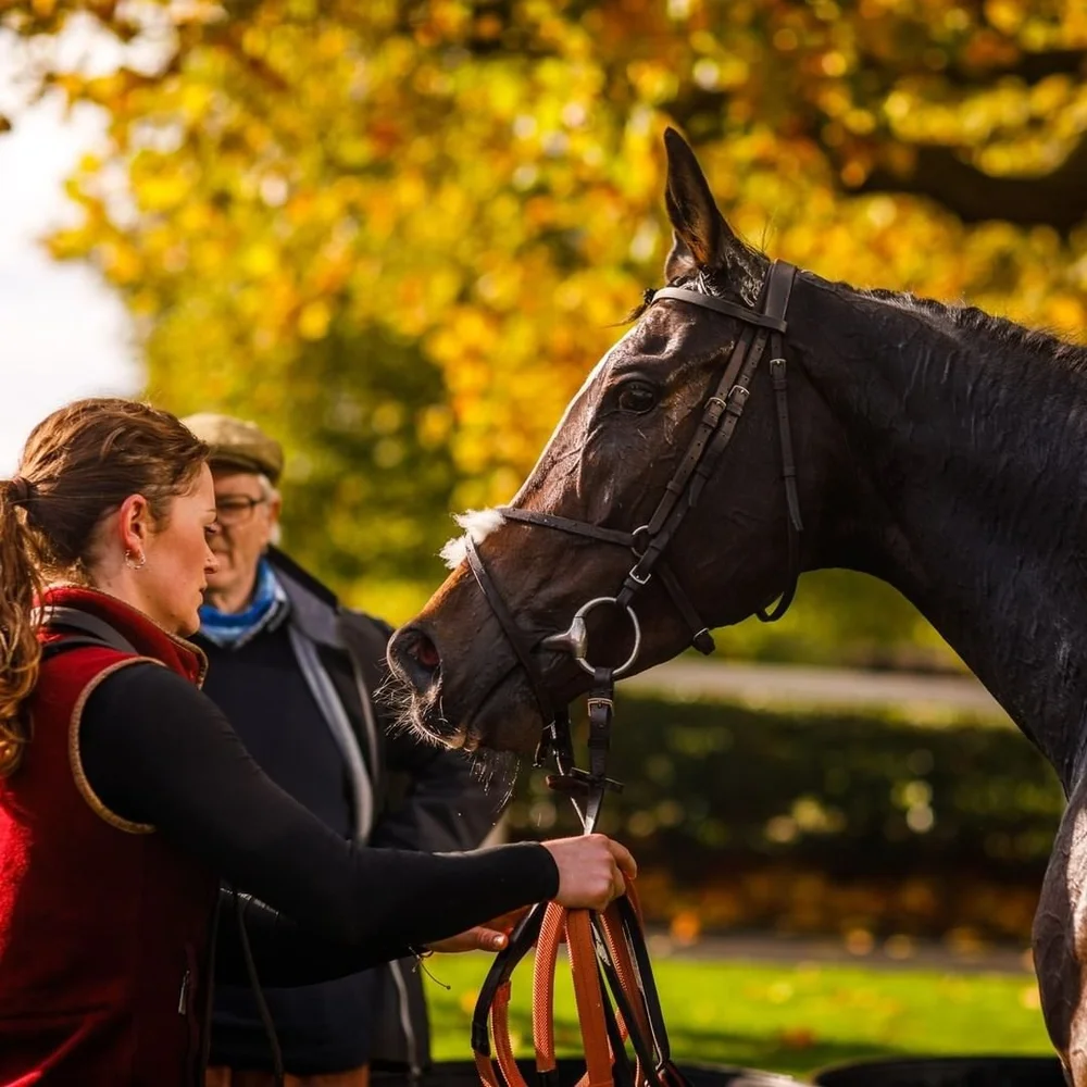 The best equestrian clubs for your riding weekend — WKNDTRP