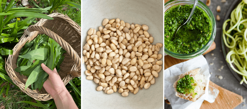 Foraging | Wild garlic pesto recipe — Housel Bay