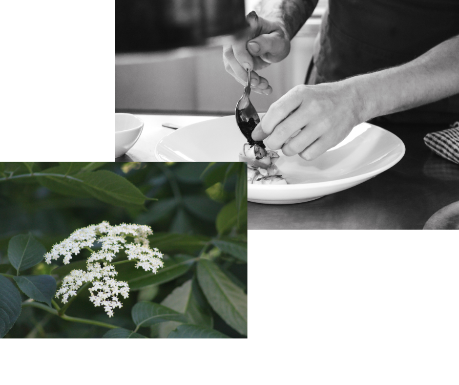 Dawn Of Warmth | New Tasting Menu — Housel Bay — Housel Bay