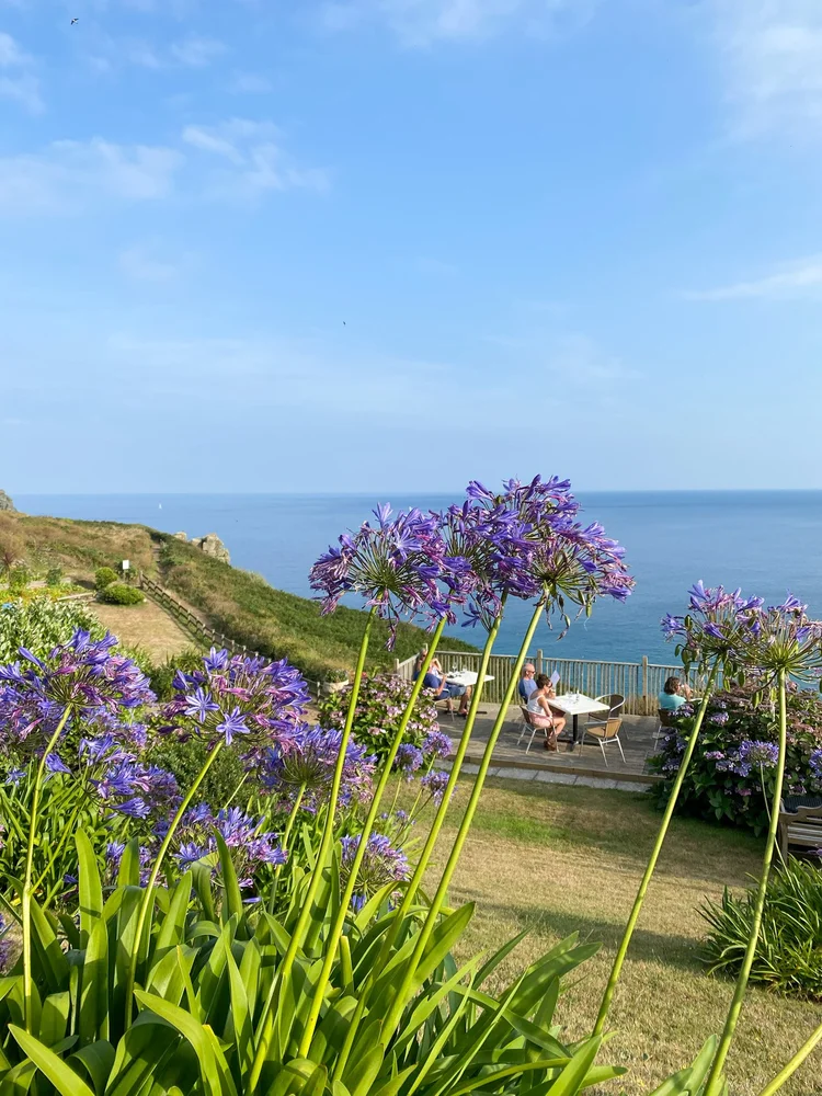 About | Housel Bay Hotel | Lizard Point | Cornwall — Housel Bay