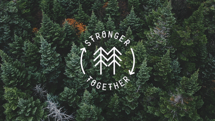 Award-winning visual identity for outdoor fitness bootcamp — Work ...