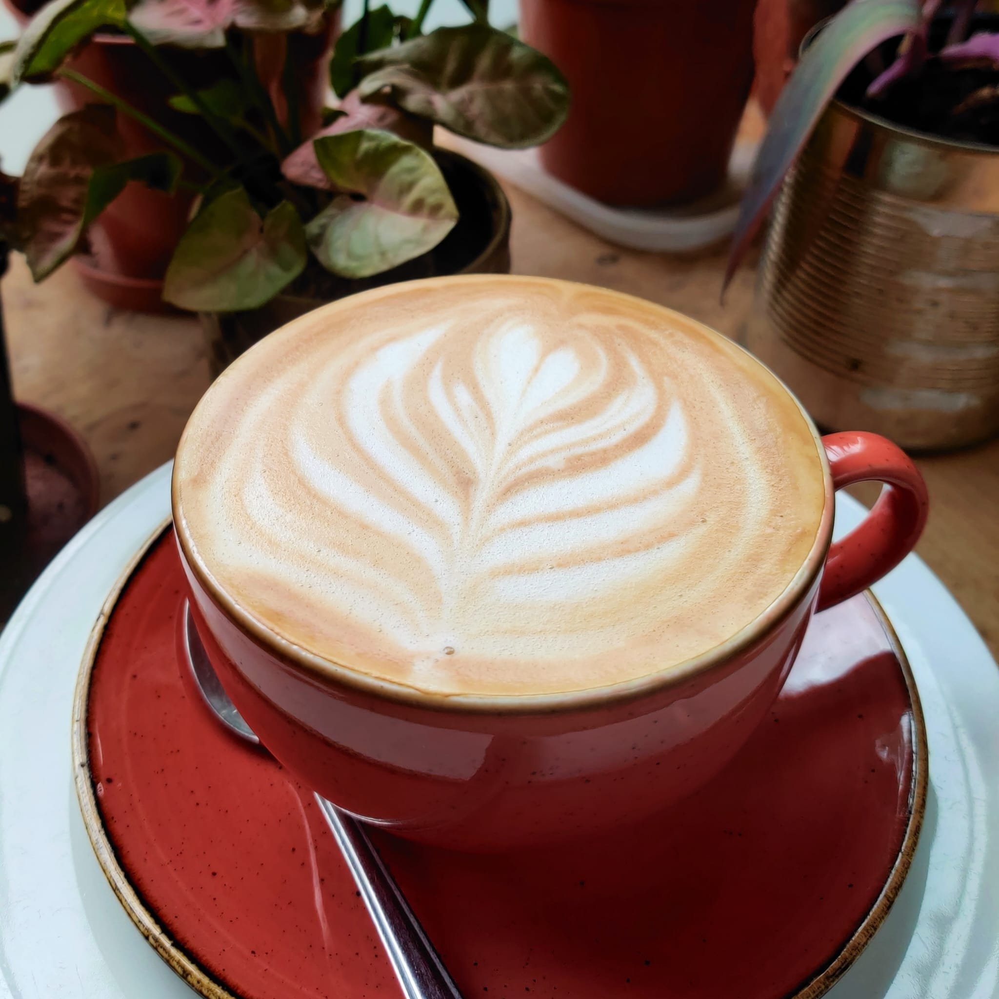 Thrive Cafe Cambridge