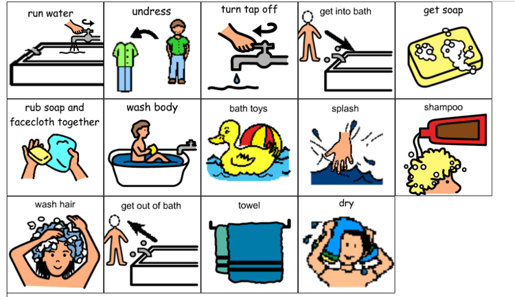 Daily Routines — THE PINES