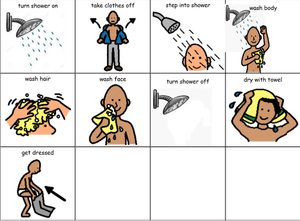 Daily Routines — THE PINES