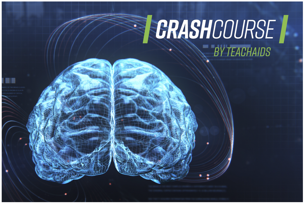 TeachAids Concussion Education Product Suite — NASHIA | National Association of State Head ...