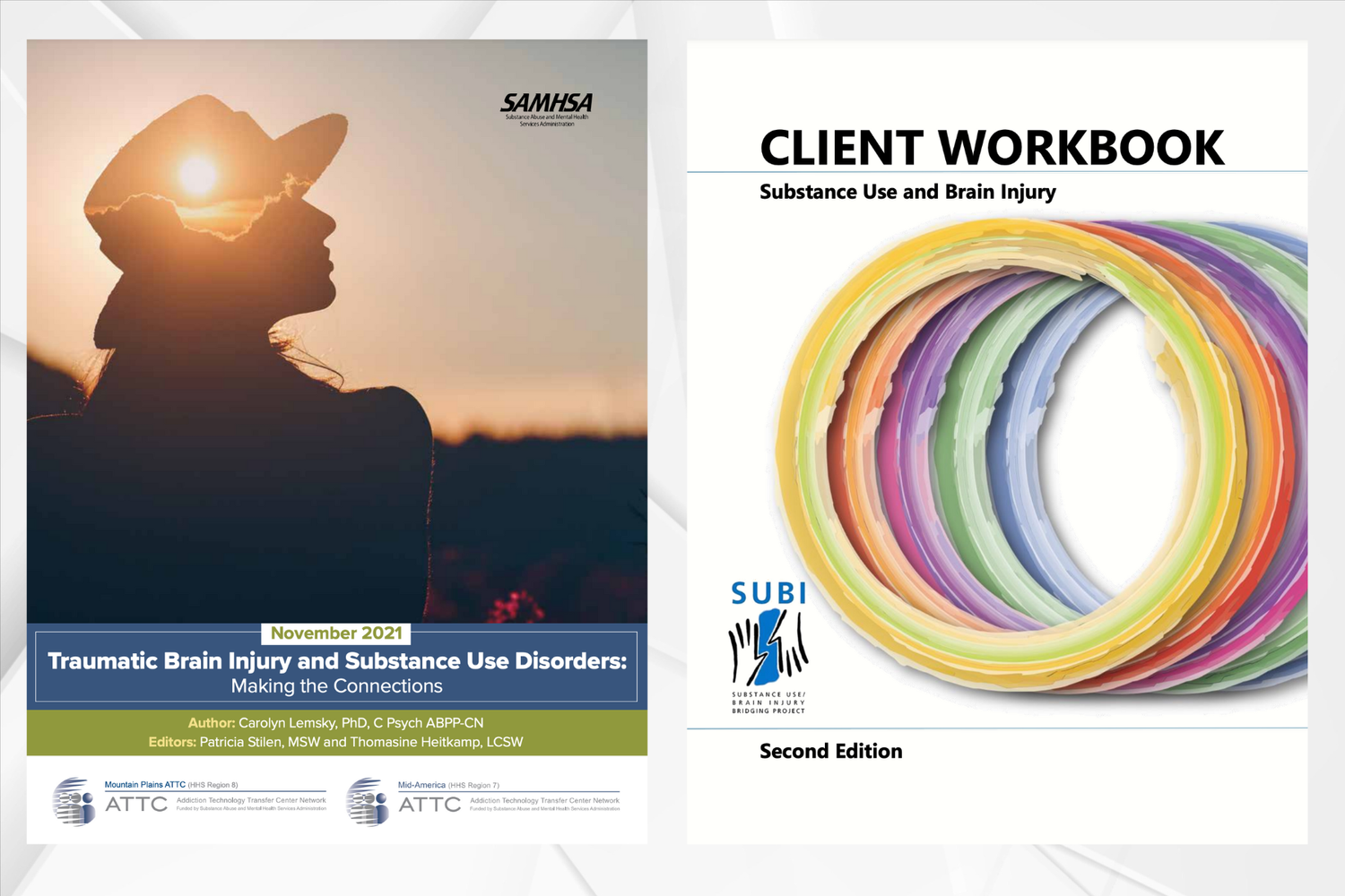 Toolkit and Workbook— Traumatic Brain Injury and Substance Use ...