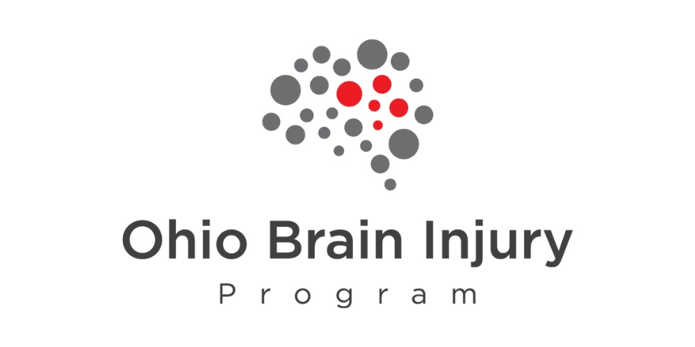 OBISSS — NASHIA | National Association of State Head Injury Administrators