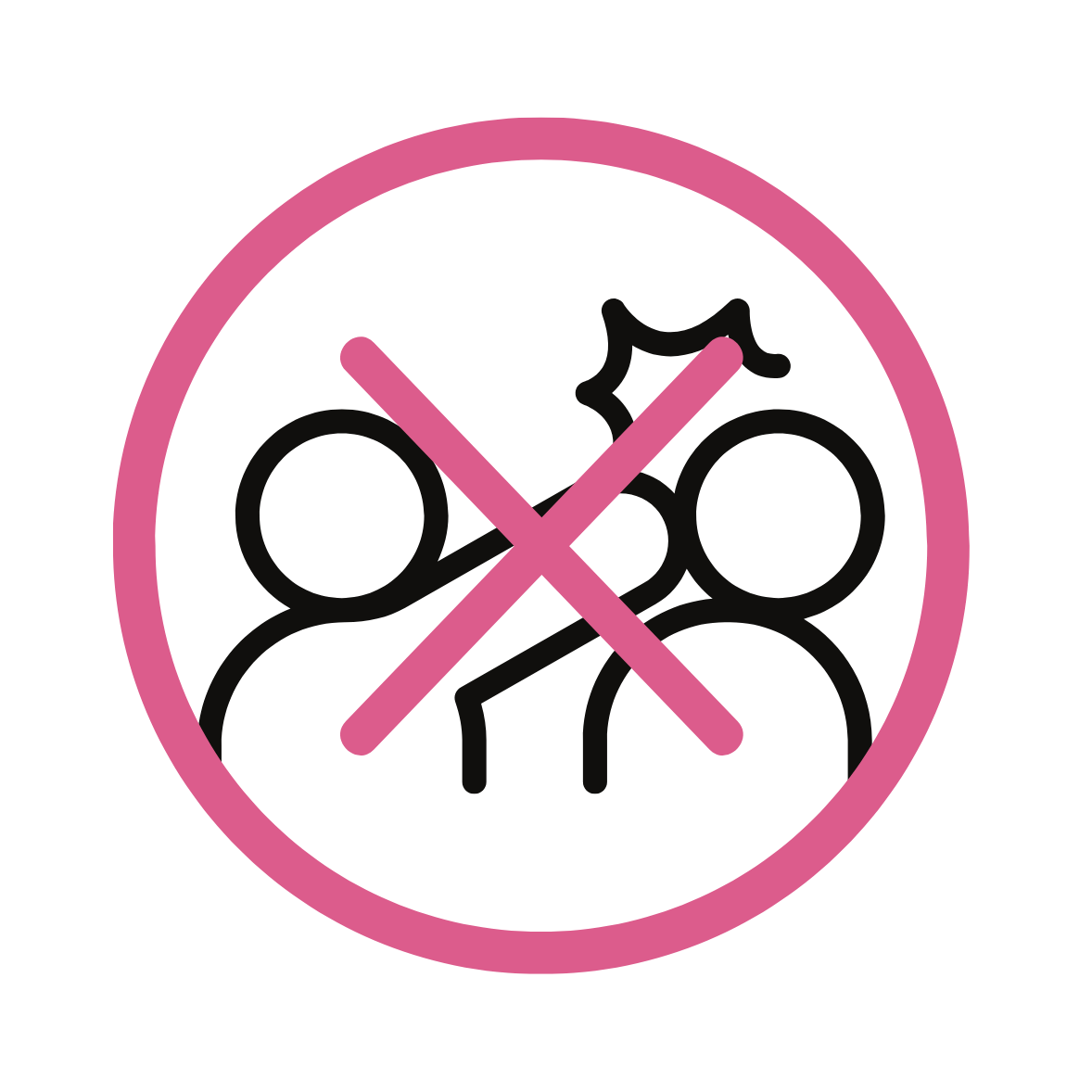 Intimate Partner Violence and Brain Injury: A Panel Discussion — NASHIA ...