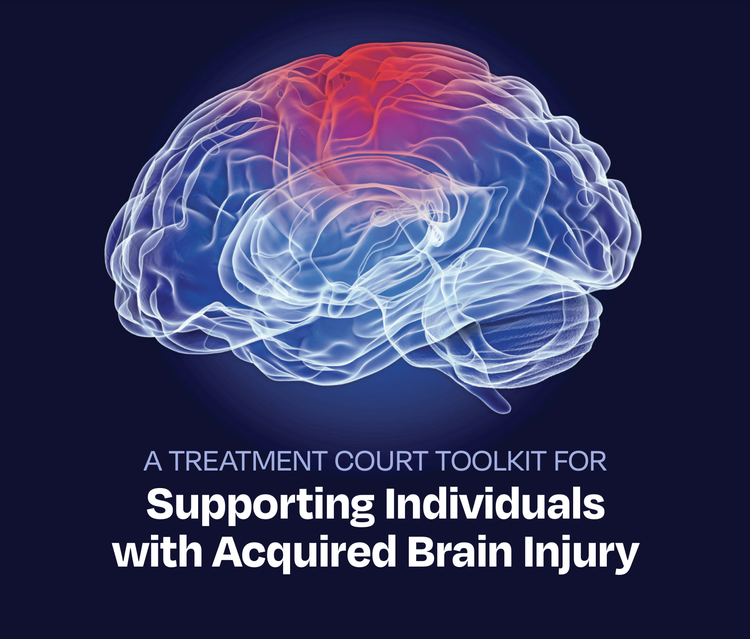 Treatment Court Toolkit for Supporting Individuals w/ ABI — NASHIA ...