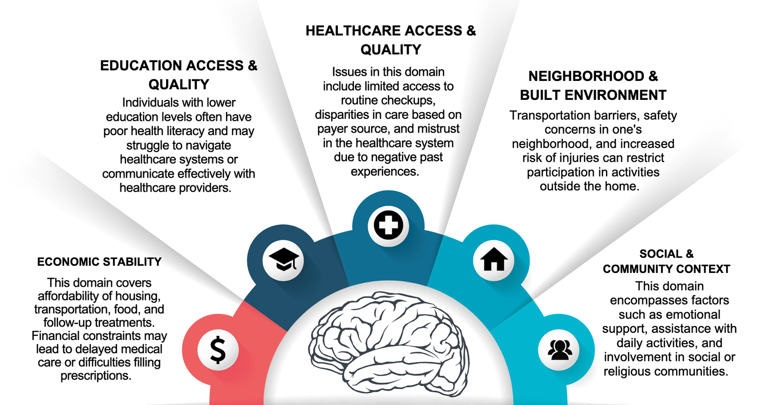 Non-Medical Drivers of Health and Brain Injury - A Fact Sheet for ...
