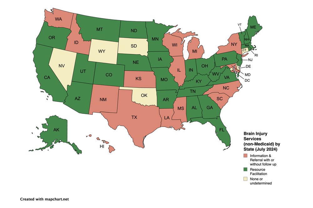 Brain Injury Resource Facilitation Programs in the United States ...