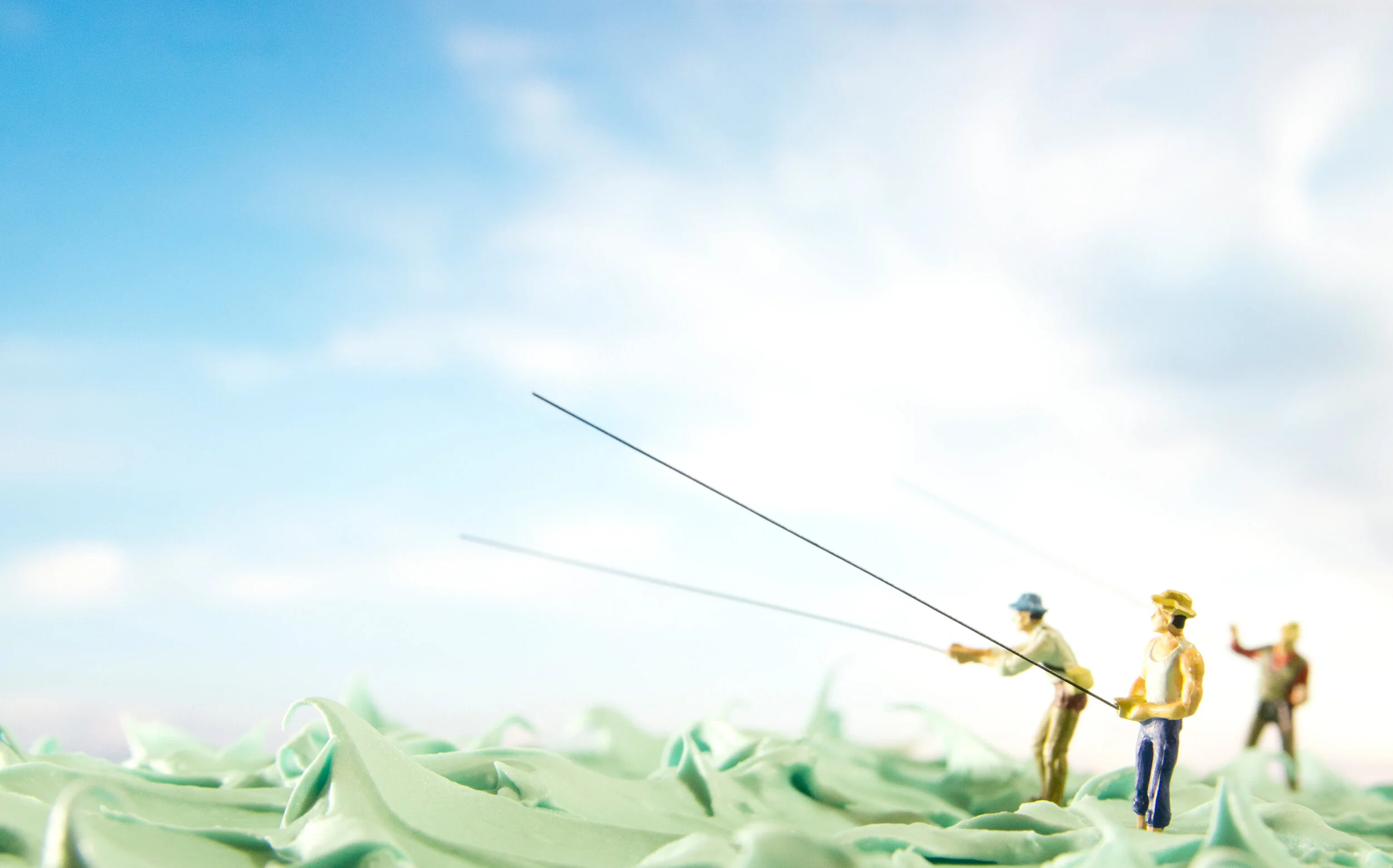 Store 2 — Matthew Carden