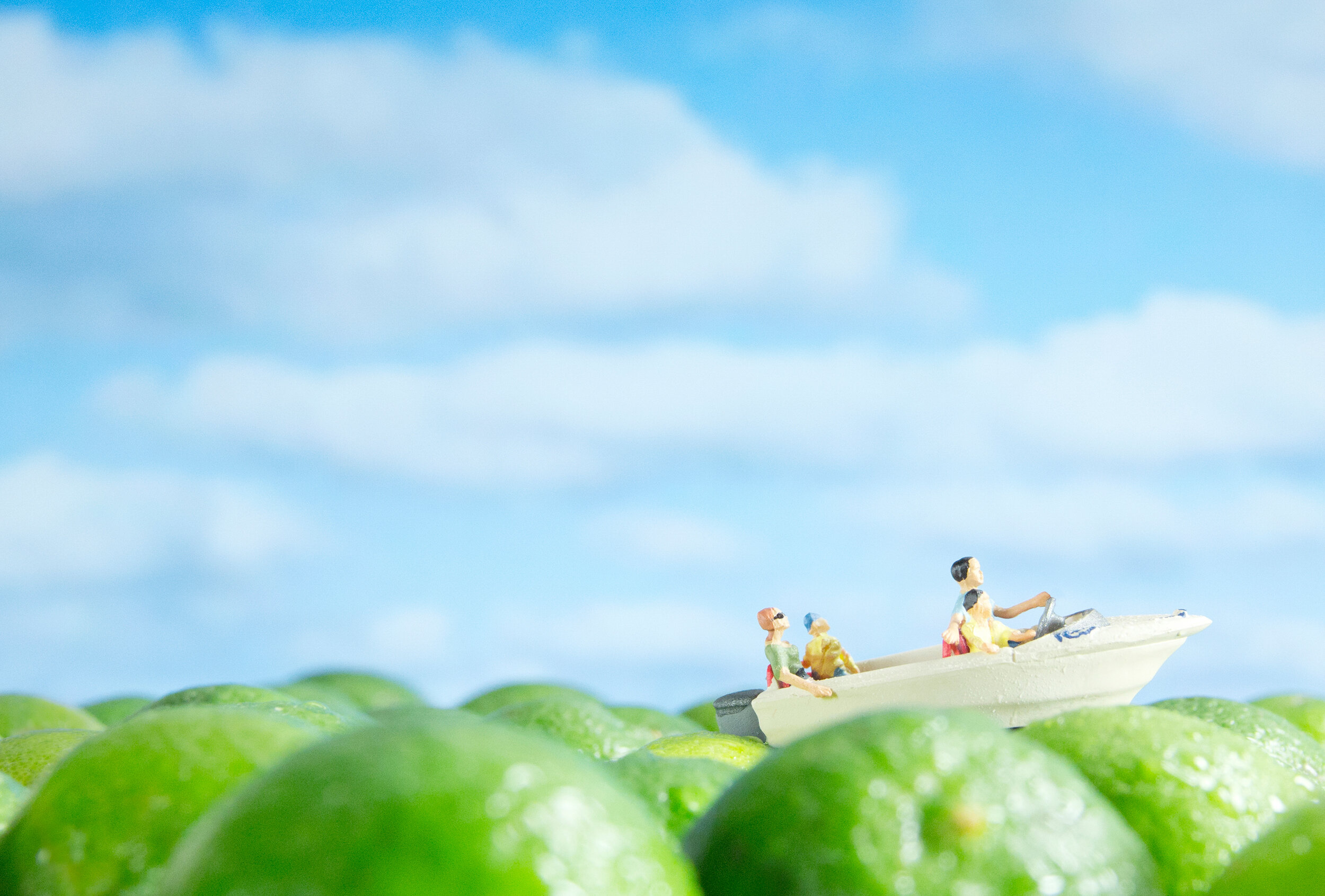 Store 2 — Matthew Carden