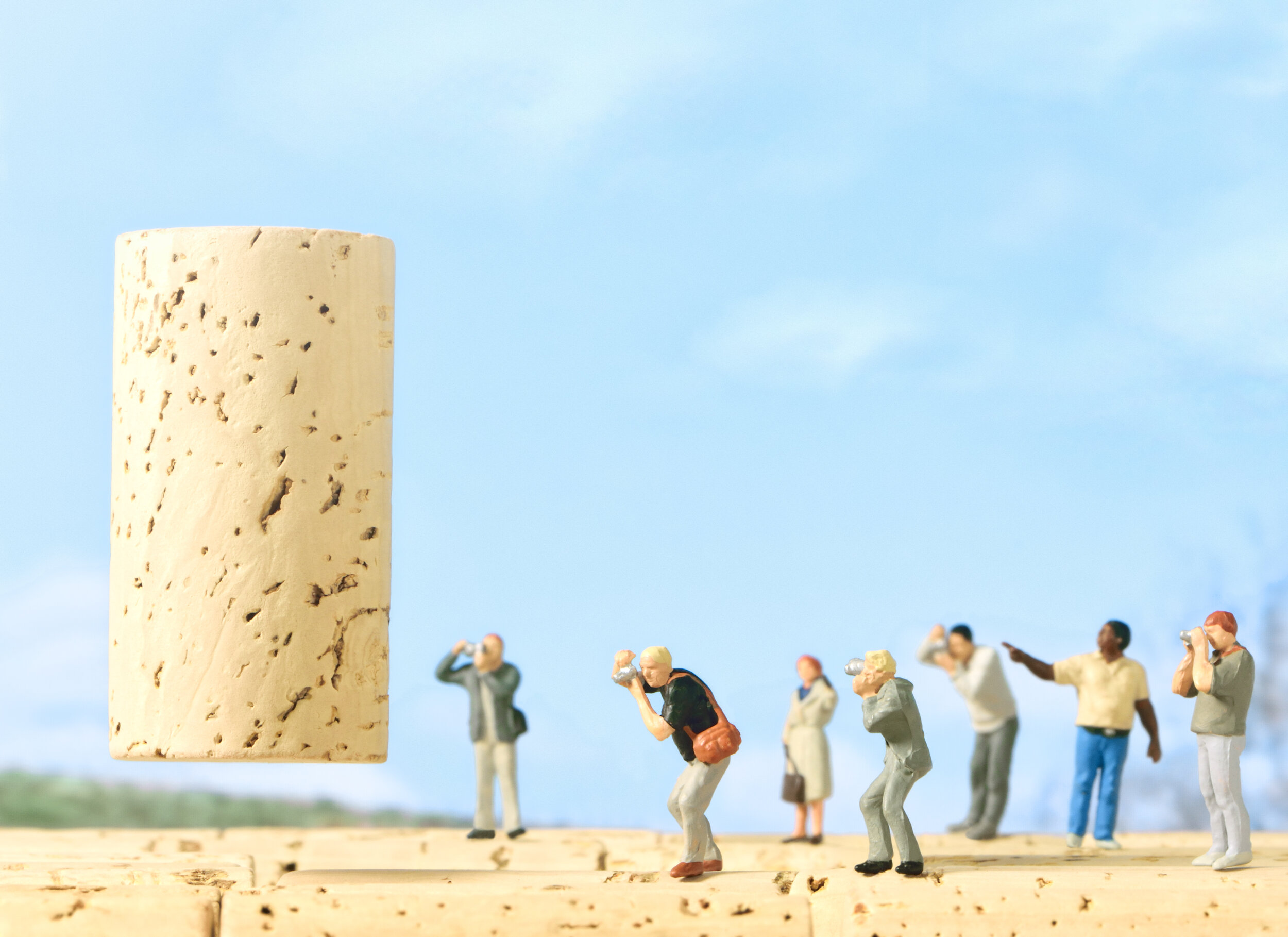 Store 2 — Matthew Carden