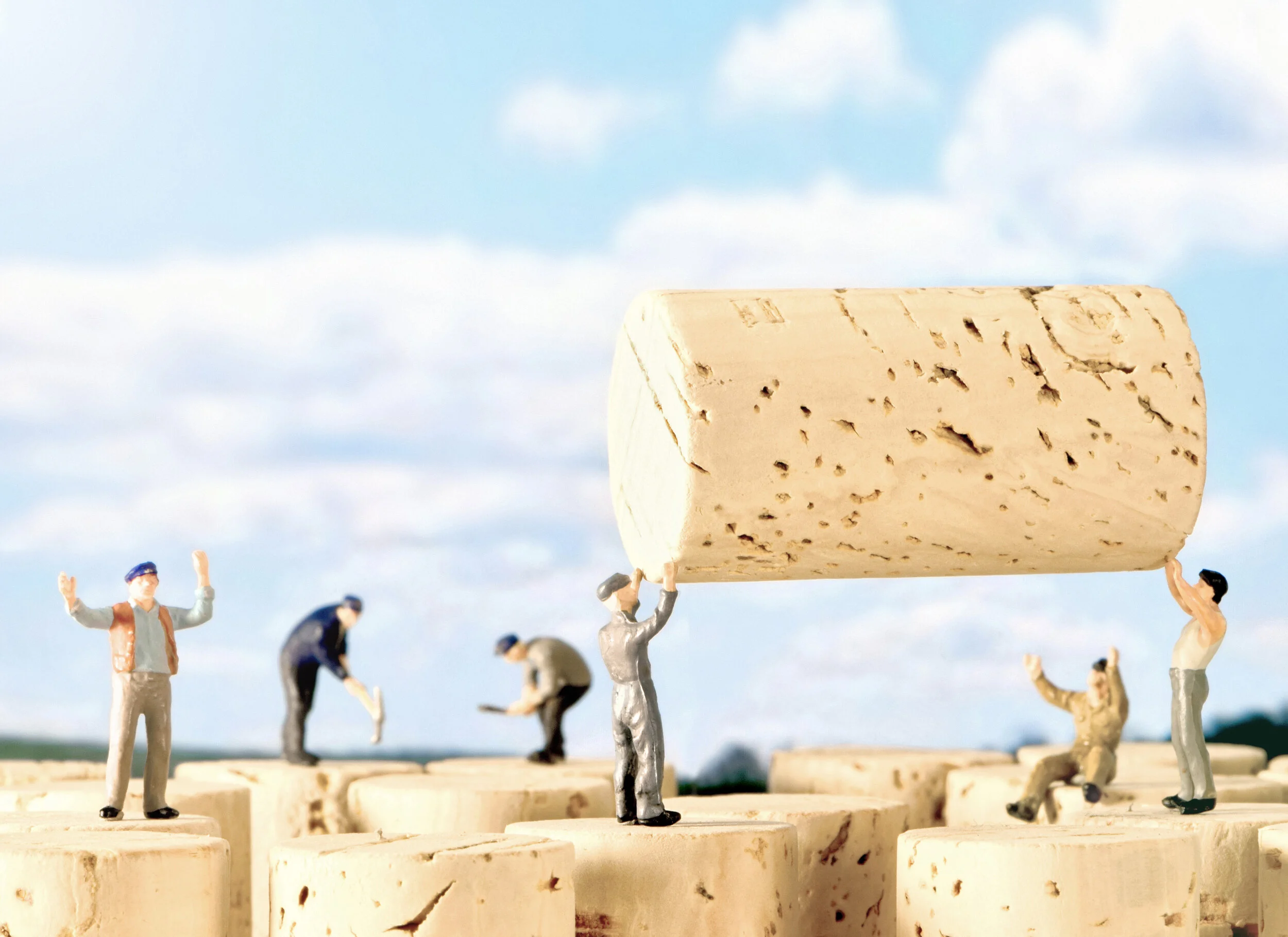 Store 2 — Matthew Carden