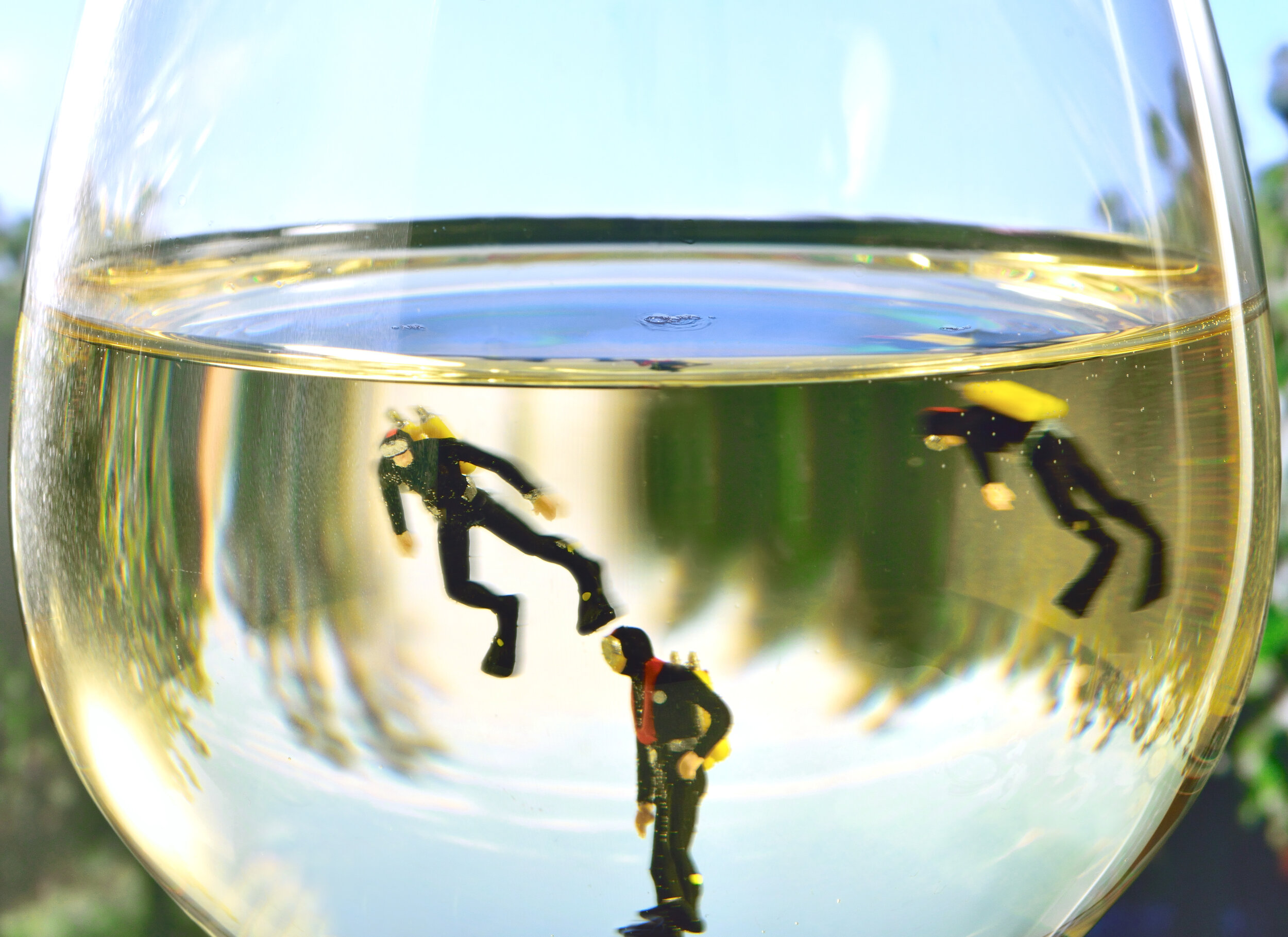 Store 2 — Matthew Carden