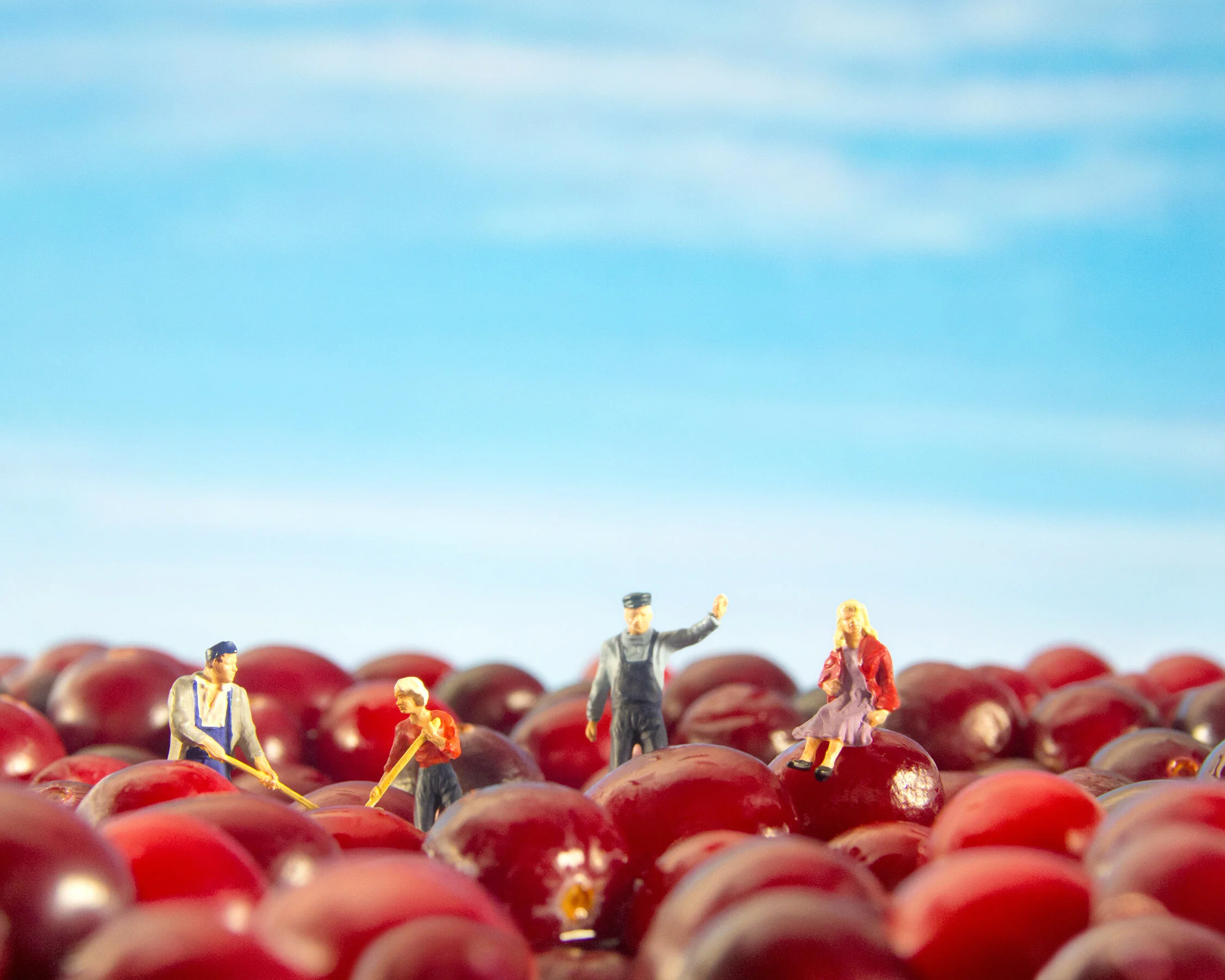 Store 2 — Matthew Carden