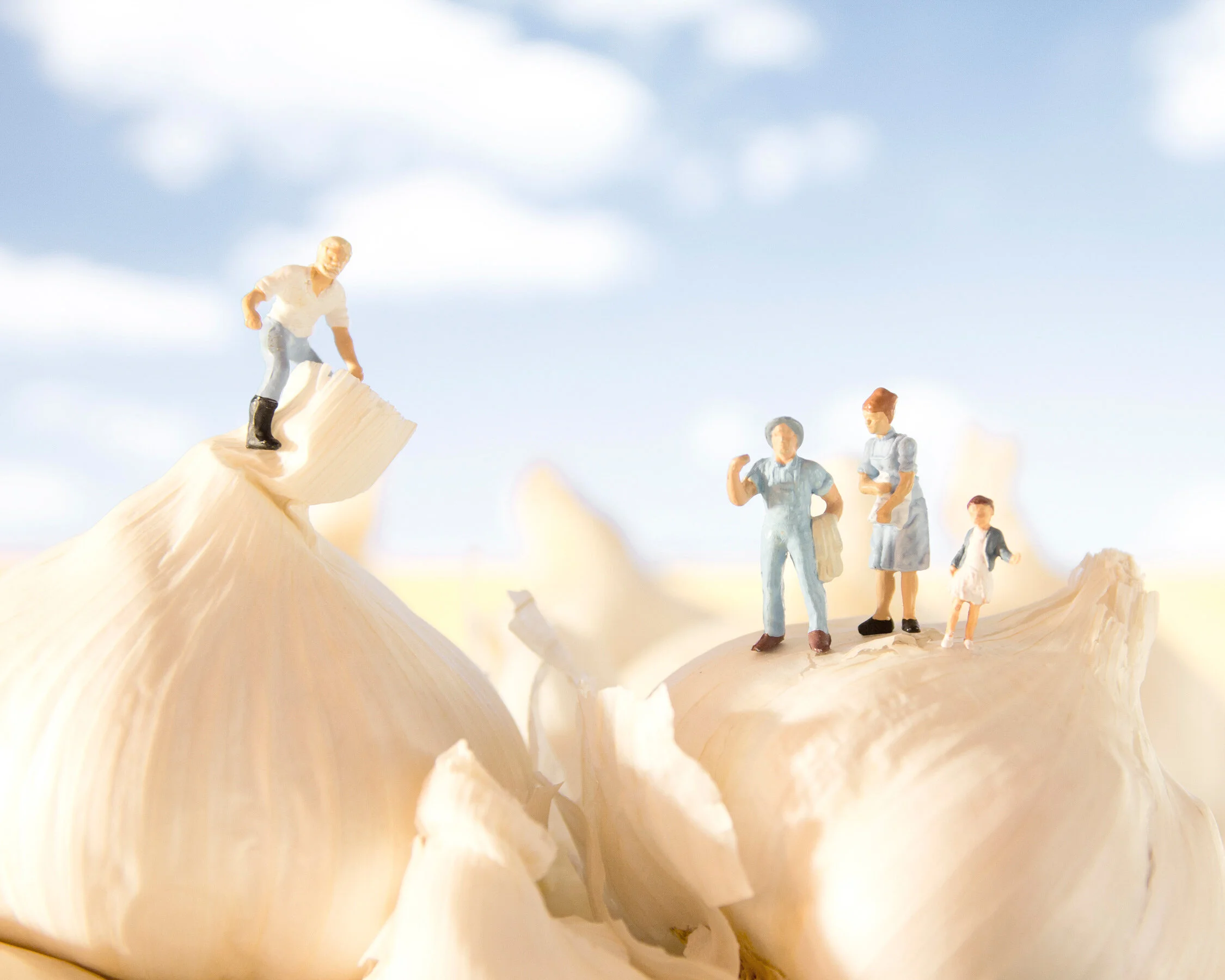 Store 2 — Matthew Carden