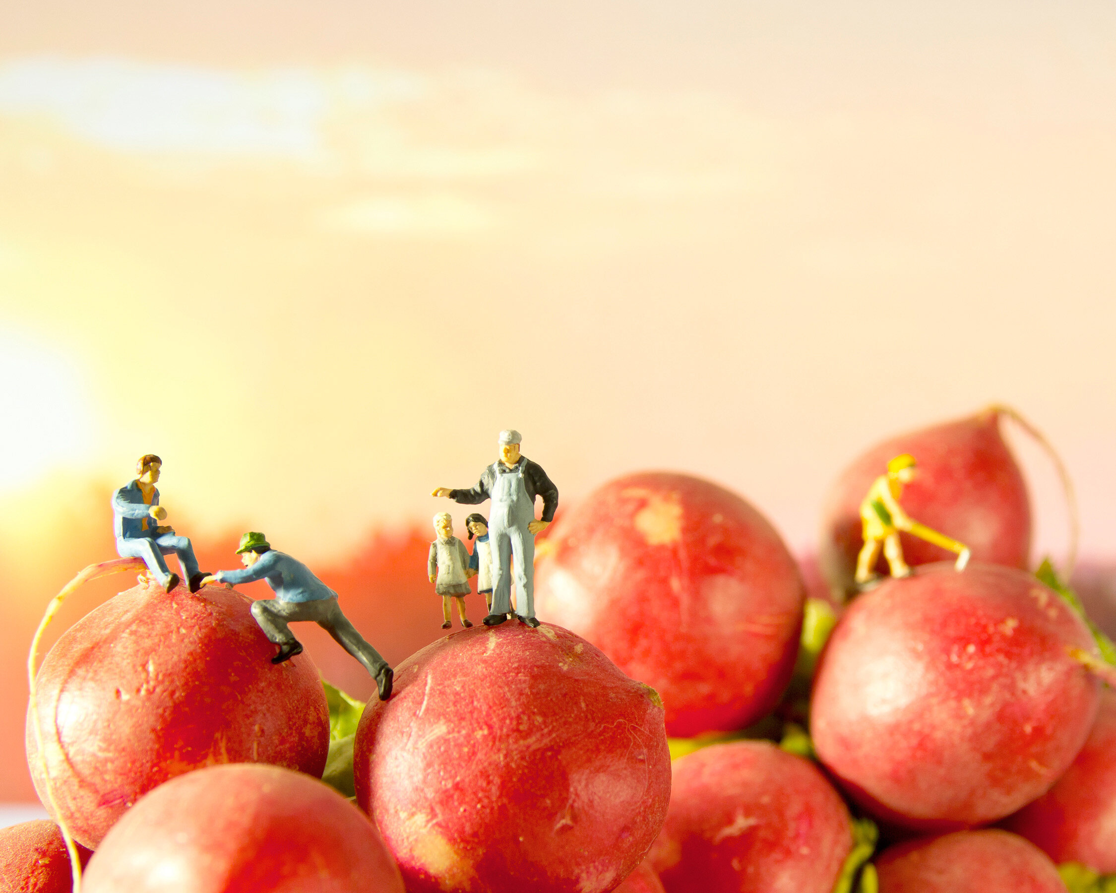 Store 2 — Matthew Carden