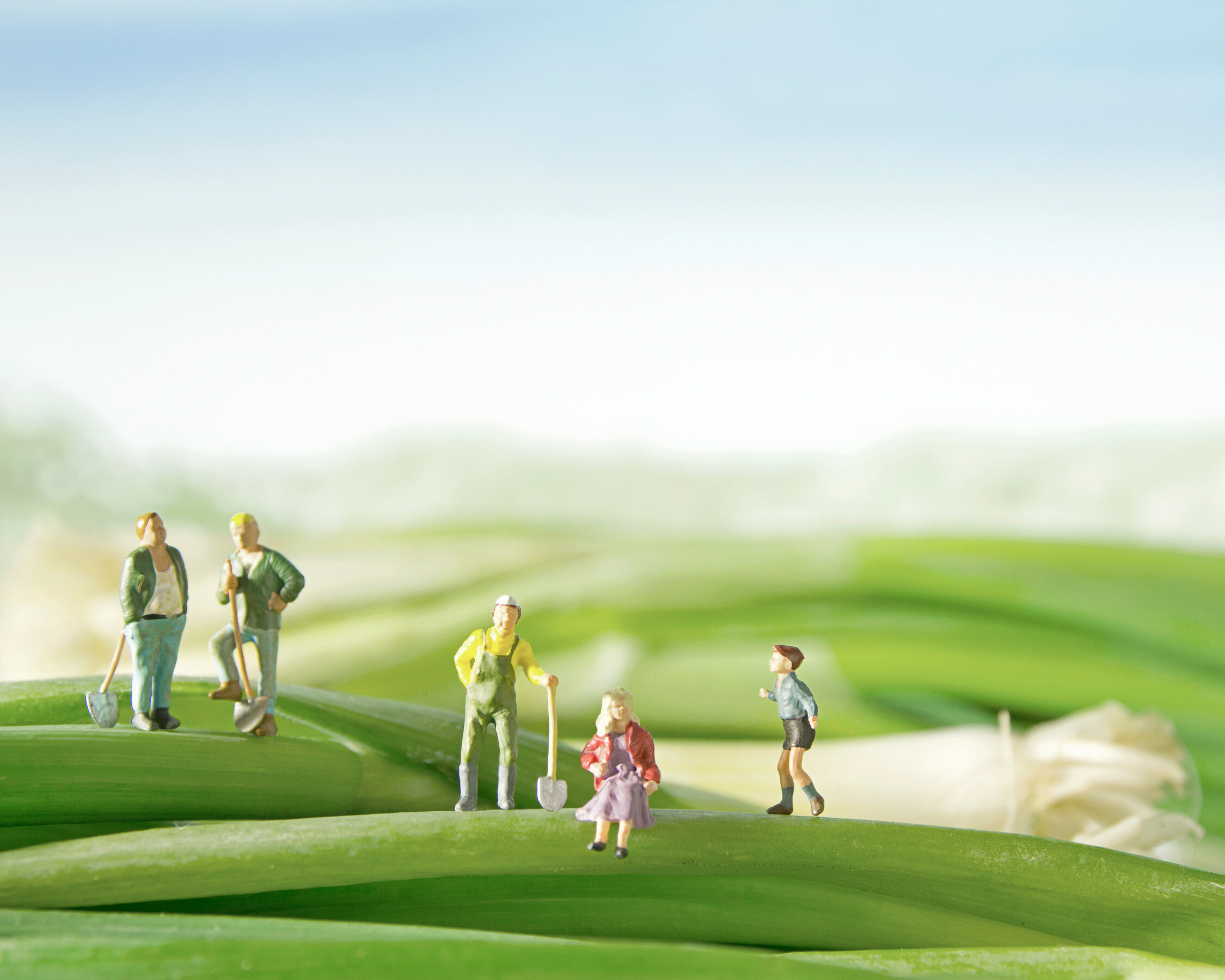 Store 2 — Matthew Carden