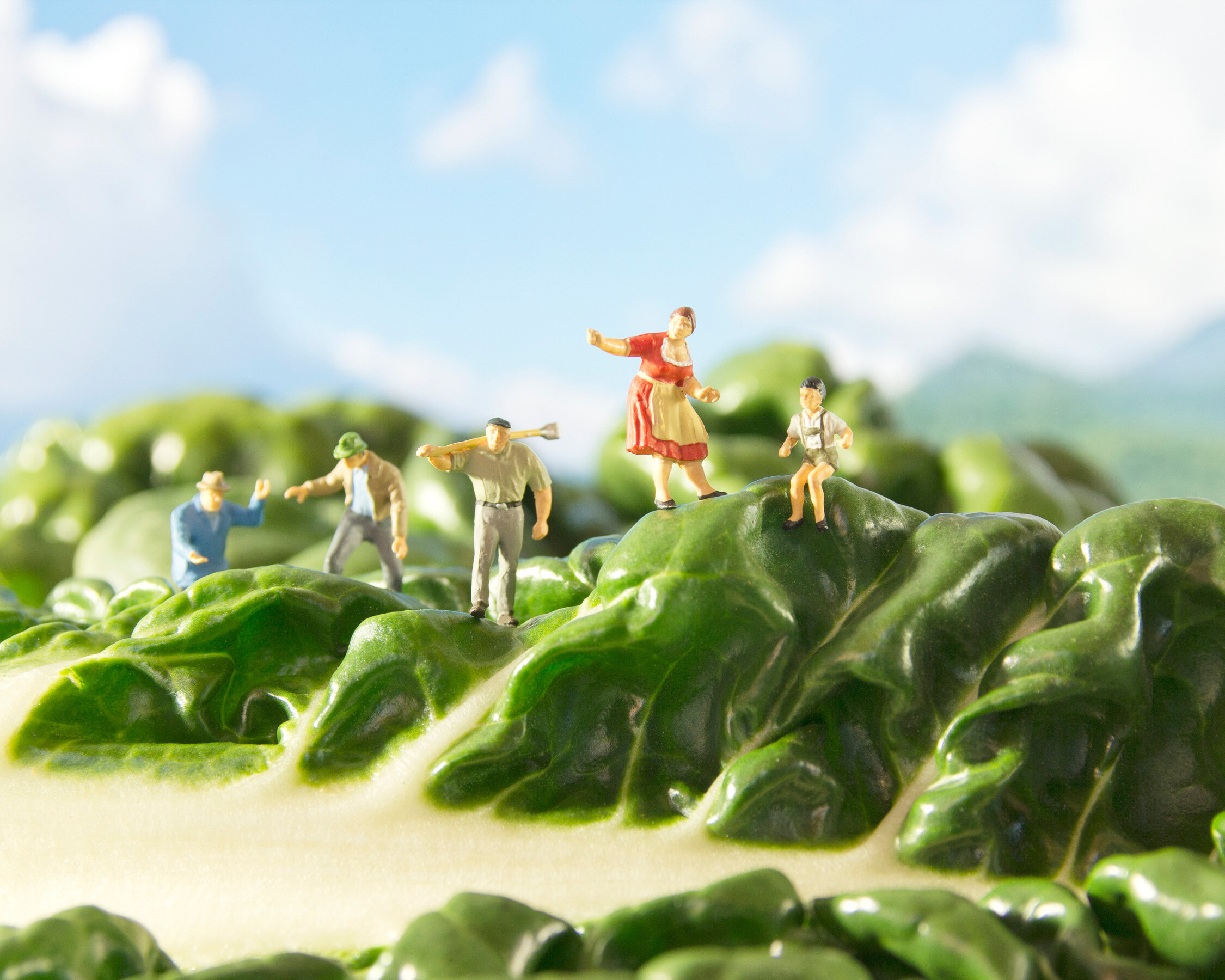 Store 2 — Matthew Carden