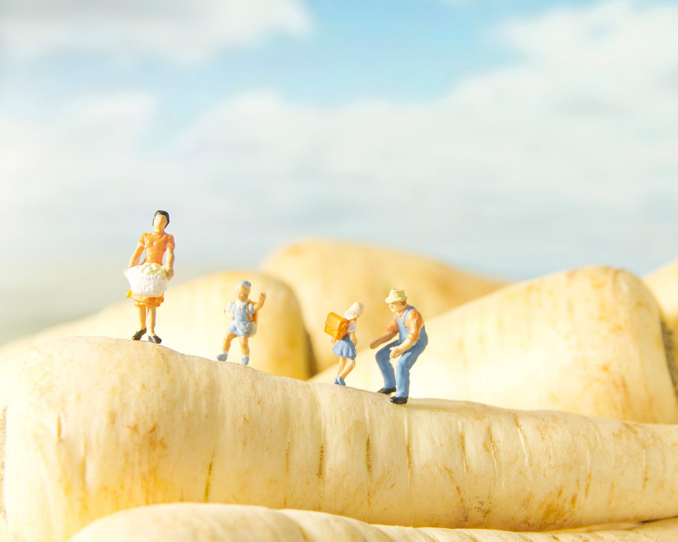 Store 2 — Matthew Carden