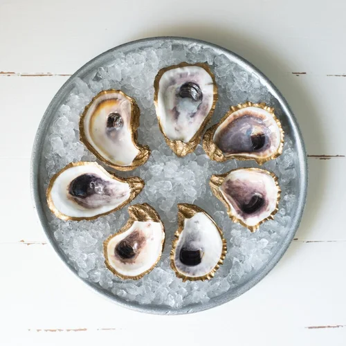 10 Ways to Recycle Oyster Shells & Help Oyster Reef Restoration — Grit ...