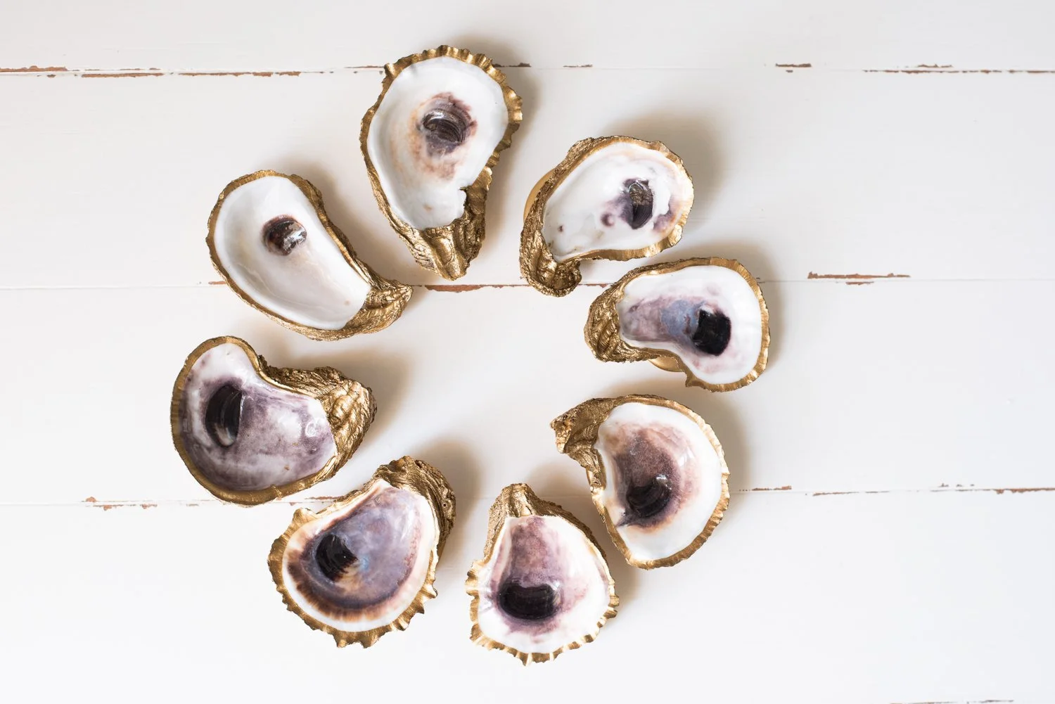 Gilded Oyster Shell Salt and Pepper Cellars — Grit and Grace Studio