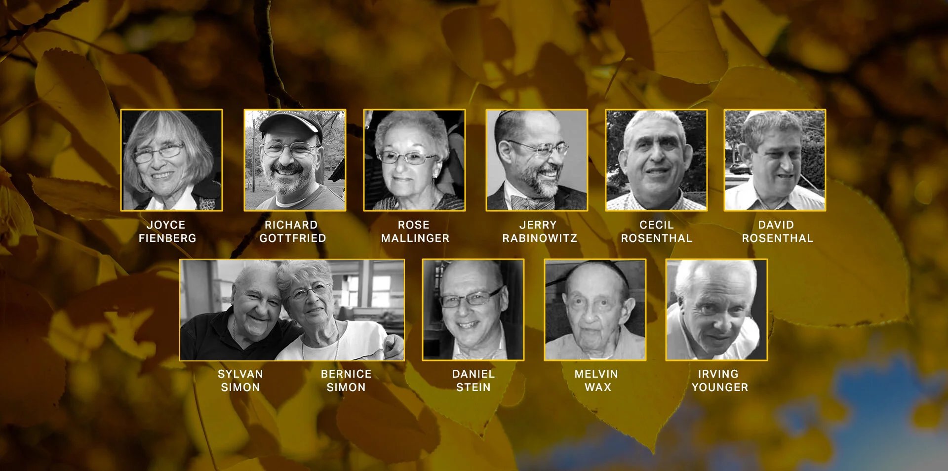 Repairing the World: Stories from the Tree of Life | A Film by Not In ...