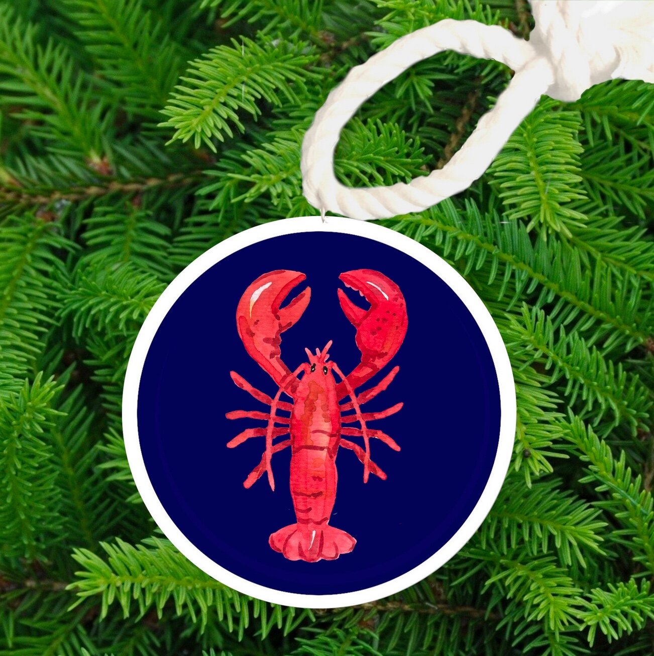 Store — White Whale Provisions