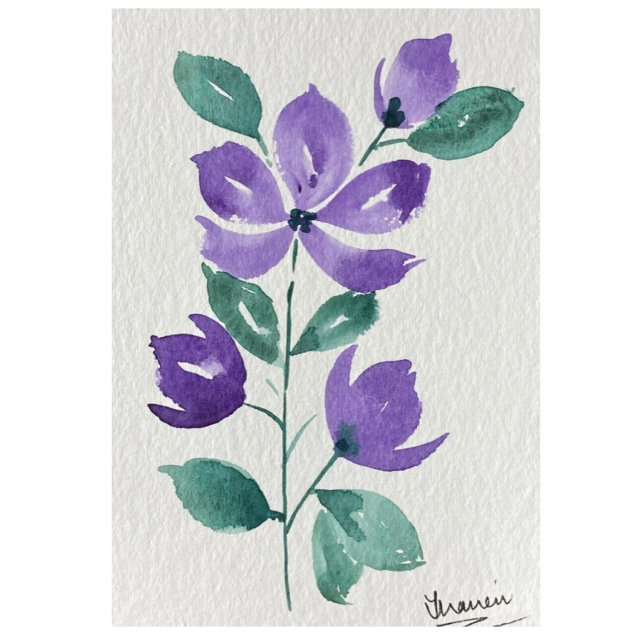 Classic Collection — Tharien's Art