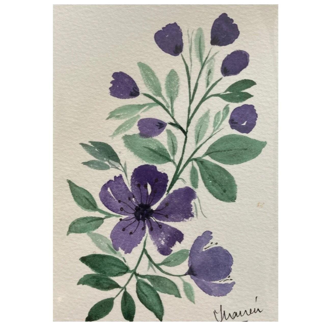 Classic Collection — Tharien's Art