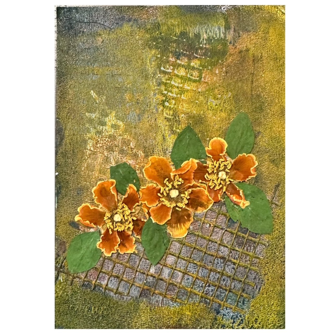 Classic Collection — Tharien's Art