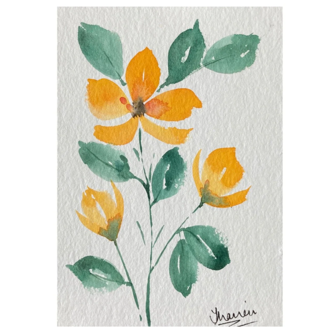 Classic Collection — Tharien's Art